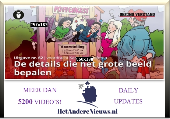 Karel van Wolferen – De details die het grote beeld bepalen – Het ...